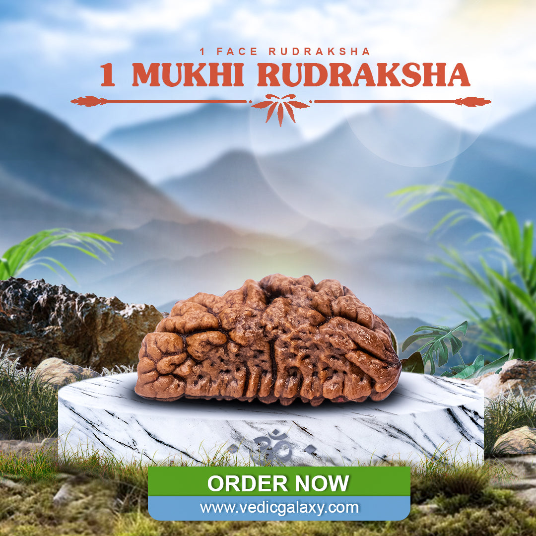1 Face Rudraksh (1 Mukhi Rudraksh) – Vedic Galaxy